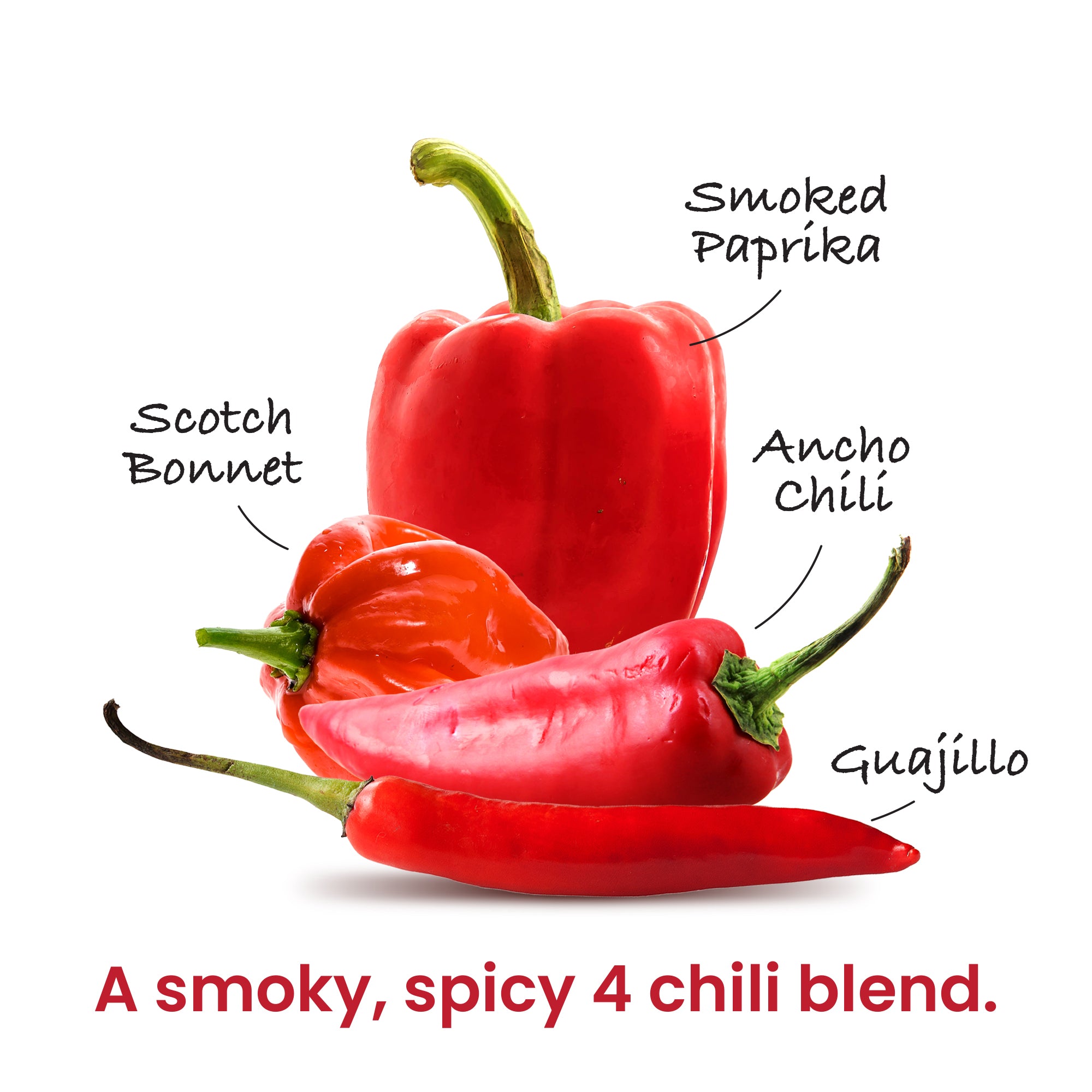 Bonfire Chili Powder Blend – The Spice Lab