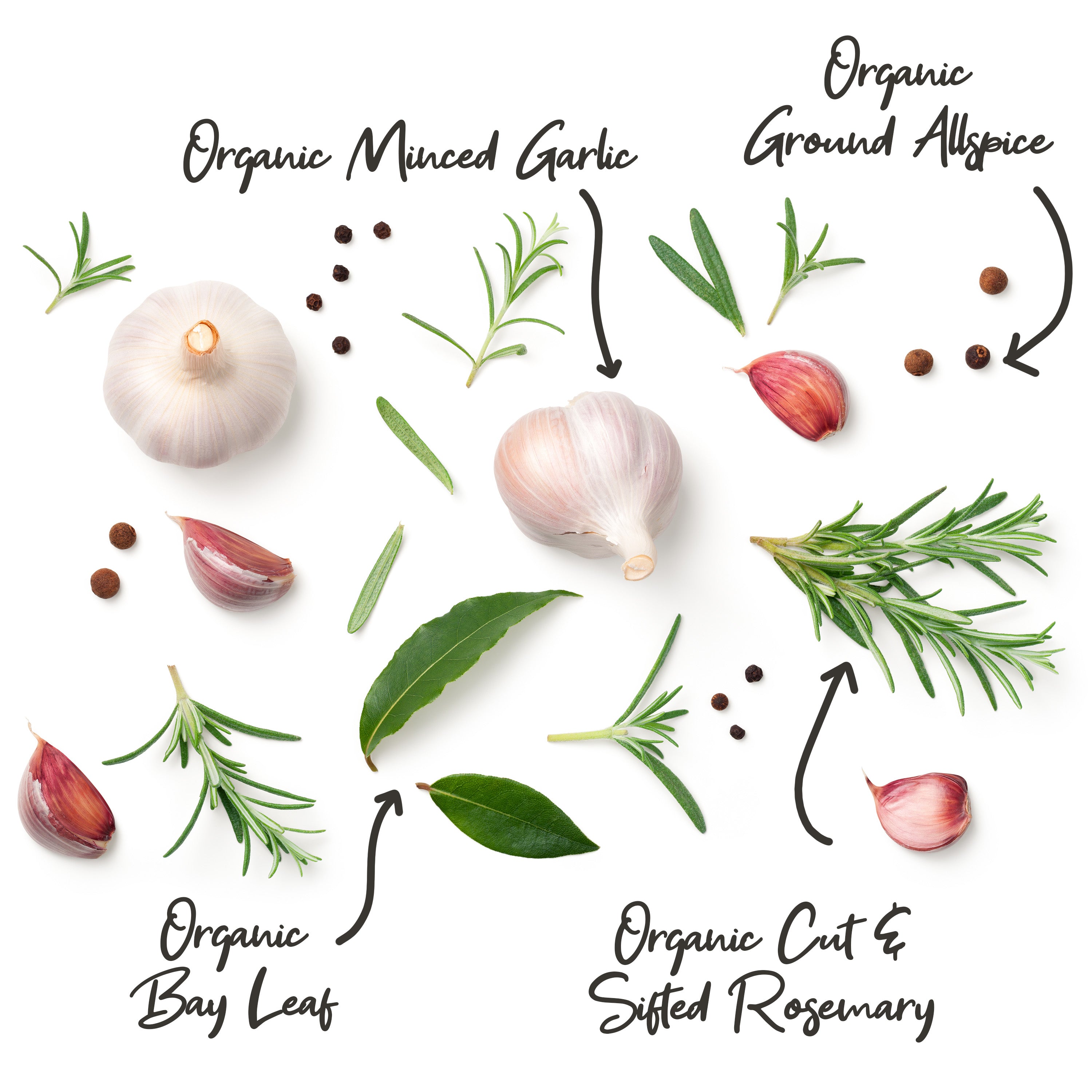 Organic Spice Complete Collection - 30 Jars – The Spice Lab